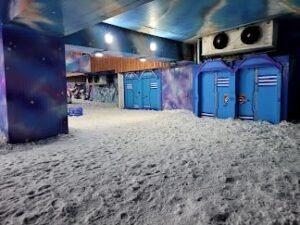 Snow World Noida: Timings, Activities, Photos & Ticket Price | Trip Guru Go
