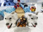 Snow World Noida: Timings, Activities, Photos & Ticket Price | Trip Guru Go